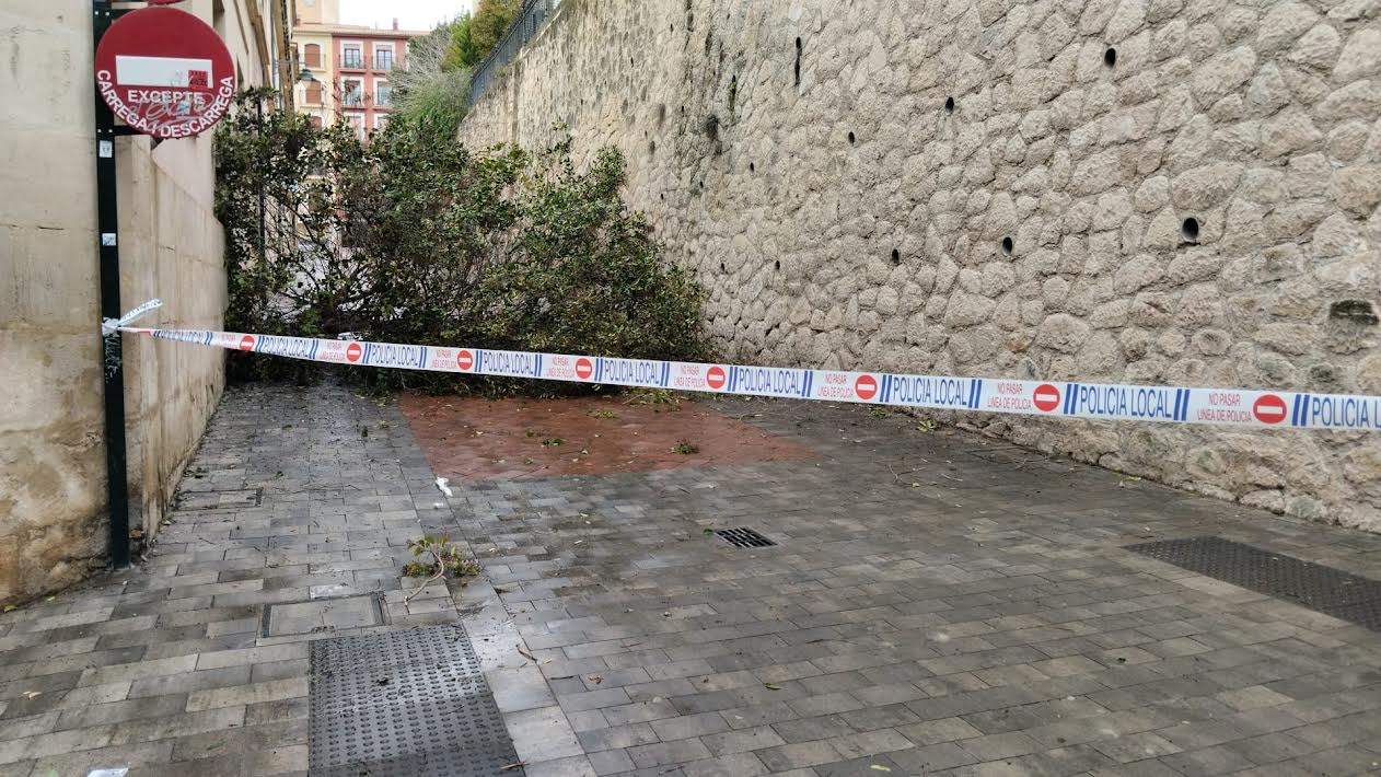 El fort vent va deixar ahir prop de trenta incidències a Alcoi - COPE Alcoy